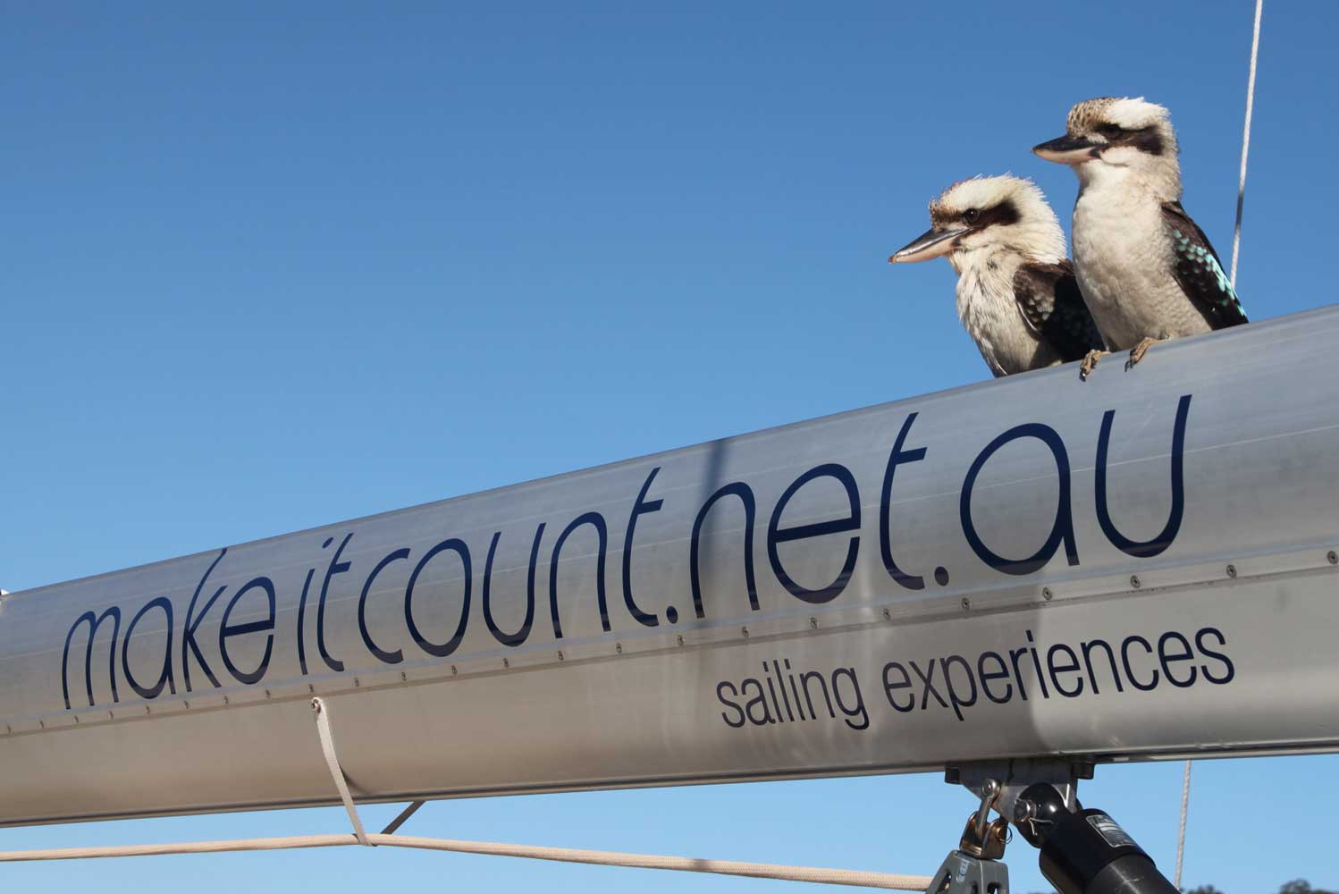Advertising & Media – Make it Count